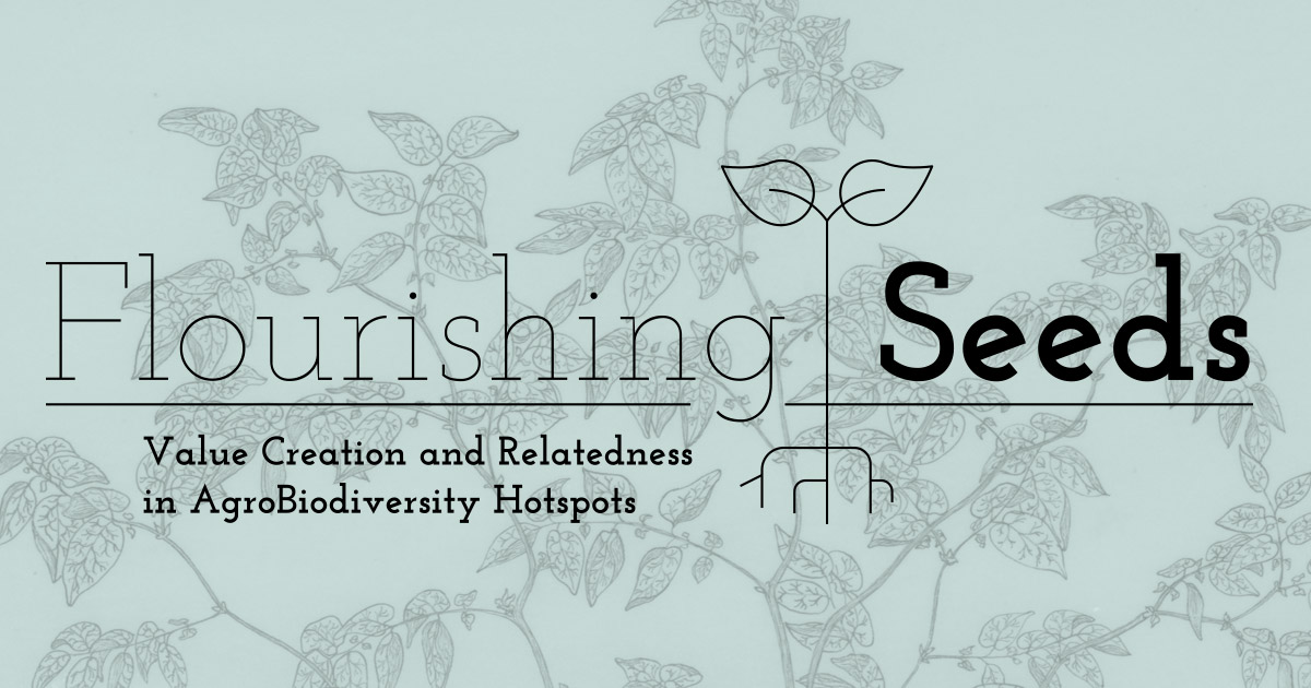 SeedsValues. Value Creation and Relatedness in AgroBiodiversity Hotspots